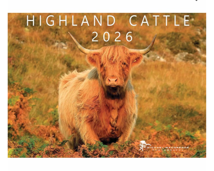 Highland Cattle 2026 Calendar – Taste Perthshire