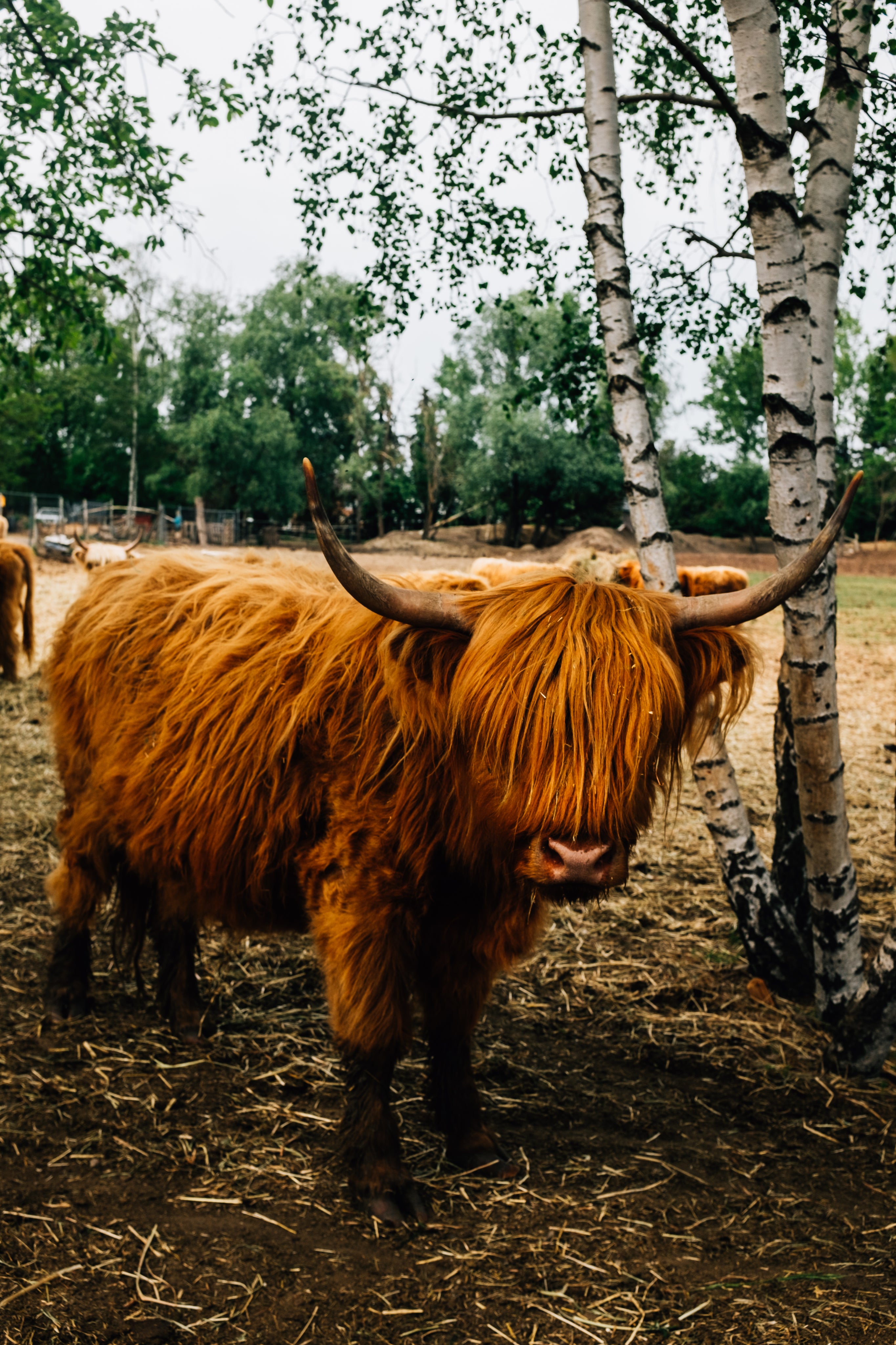 Taste Perthshire Online Shop